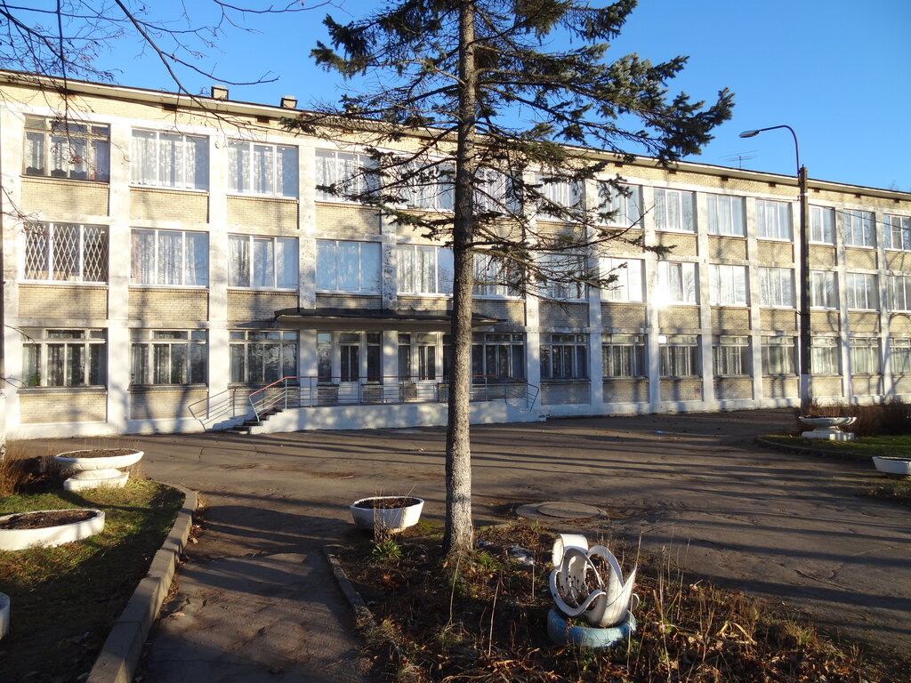 Termal otel Детский туберкулезный санаторий Жемчужина, Peterhof, foto