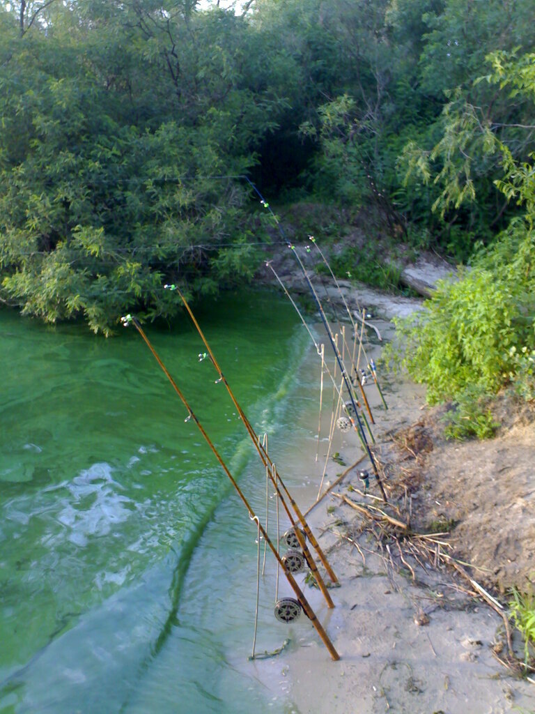 i̇nternet portalları MegaRibolov - a site about fishing and everything connected with IT, Dnepropetrovsk, foto