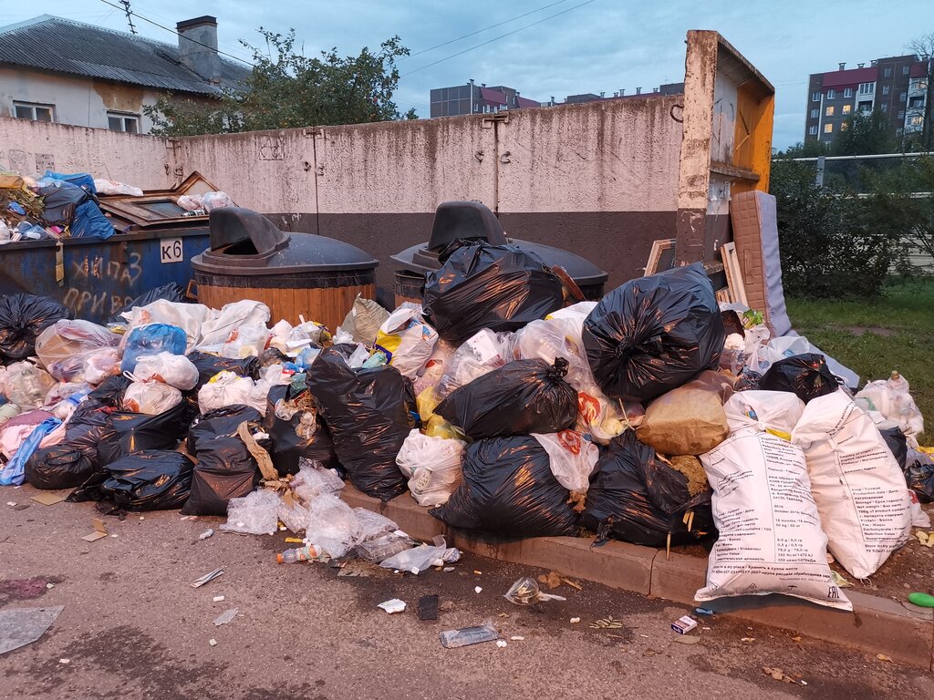Çöp alanları Trash and garbage disposal area, Saint‑Petersburg ve Leningradskaya oblastı, foto