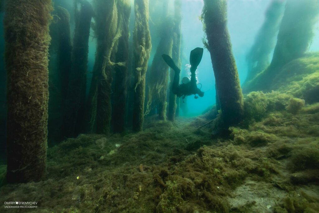 Diving Scuba Mafia, Samara, foto