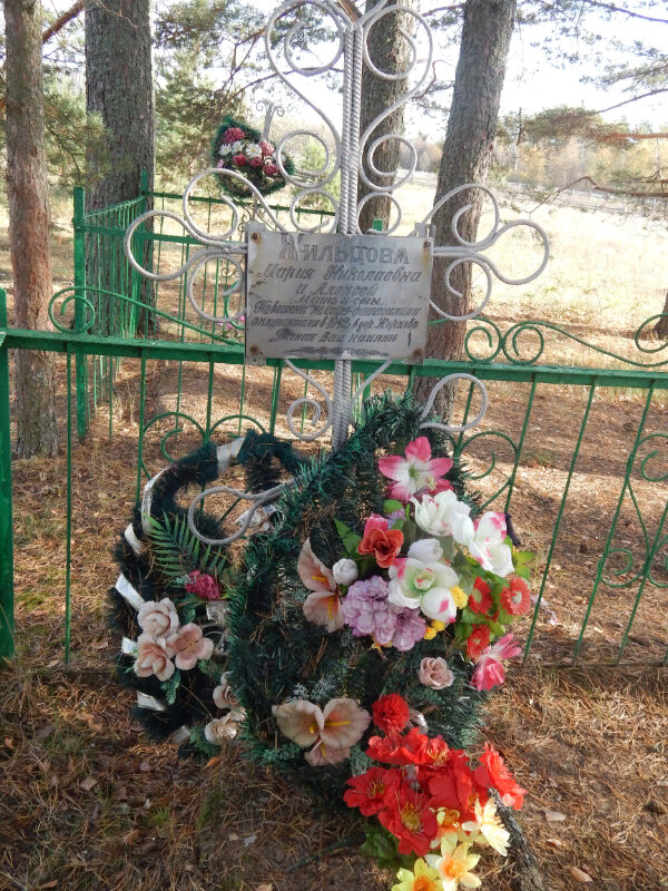 Anıt, heykel Могила матери и сына Жильцовых, казненных немецко-фашистскими оккупантами, Novgorodskaya oblastı, foto