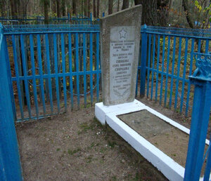 Братская могила мирных жителей, расстрелянных фашистами и партизан Е.П. Сивикова и Д. Свиридова (Bryanskiy rayon, Domashovskoye selskoye poseleniye, derevnya Novonikolayevka), anıt, heykel  Brianskaya oblastından