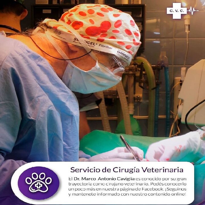 Veteriner klinikleri Clinica Medica Y Quirurgica Veterinaria Dr Caviglia, Buenos Aires, foto