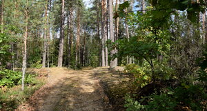 Липичанская пуща (Grodzienskaja Region, Dziatlawski District, Lipichanskaya pushcha), doğa koruma alanı  Grodnenskaya oblastından