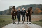 Lm Horses GmbH (Zürich, Dielsdorf, Stadel, Haslistrasse, 3), evcil hayvan yetiştiricileri  Zürih'ten
