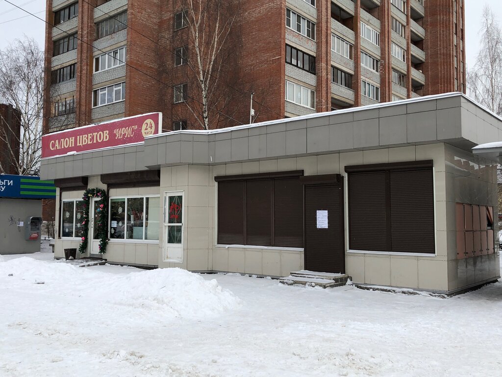 Çiçekçiler Салон цветов Ирис, Kolpino, foto