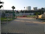 Slava Metreveli Central Stadium (Krasnodar Territory, Sochi, Yana Fabritsiusa Microdistrict), stadyum  Soçi'den