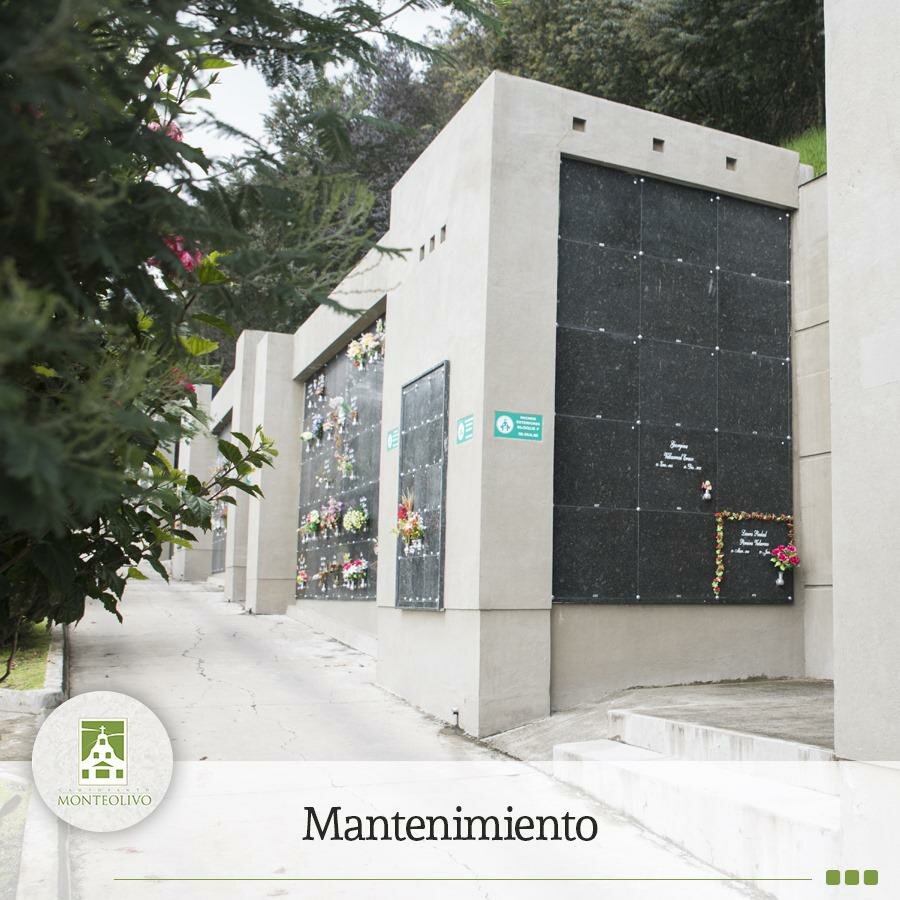 Sigorta şirketleri Monteolivo, Kito, foto