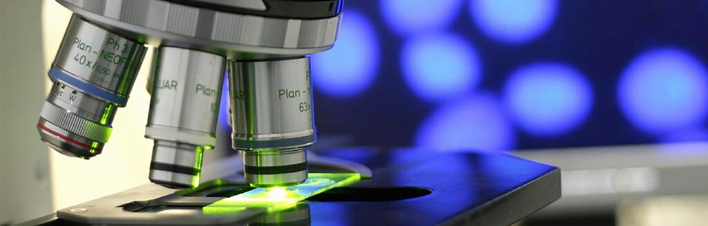 Ev hizmetleri Hc Company, Cali, foto