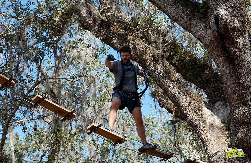 Spor kulüpleri TreeHoppers Aerial Adventure Park, Florida Eyaleti, foto