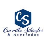 Carrillo Silvestri Asociados (Panama, Calidonia), danışmanlık hizmetleri  Panama'dan