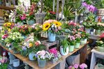 Le Fleur Das Blumencafe (Bahnhofplatz No:10, Starnberg), yapay bitki ve çiçek  Starnberg'den