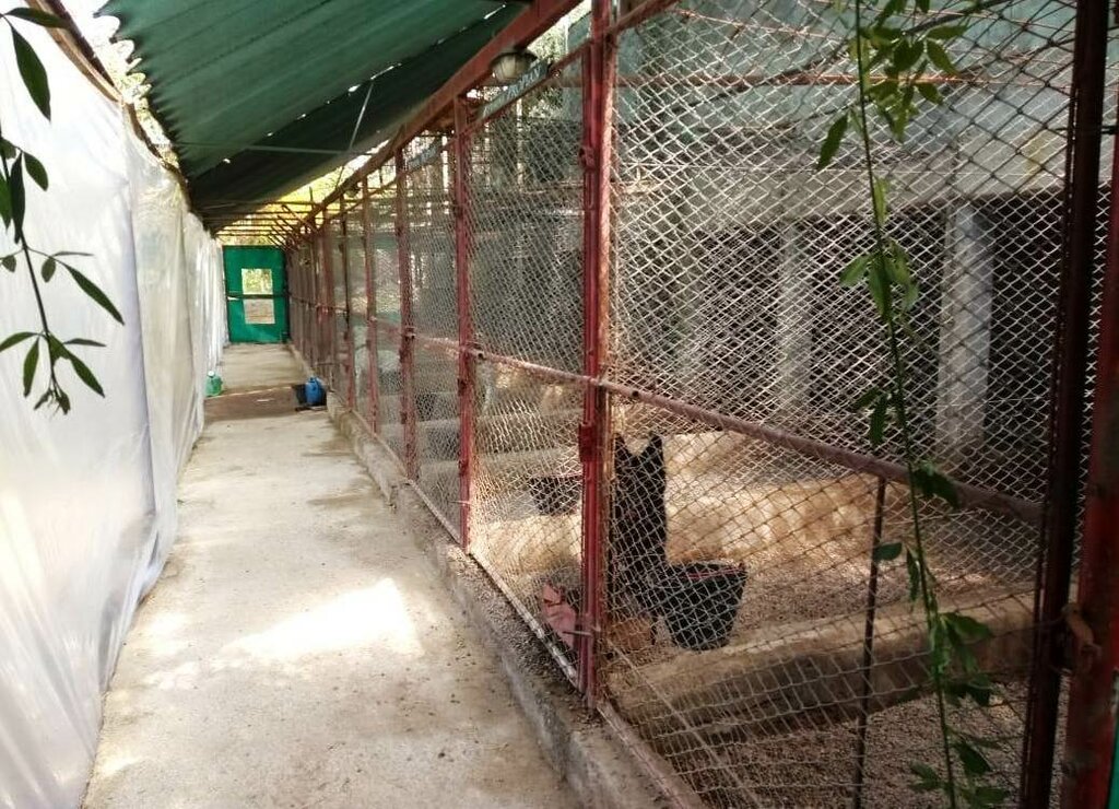 Pet otel Hotel para Mascotas - Finca Familia Acosta, , foto