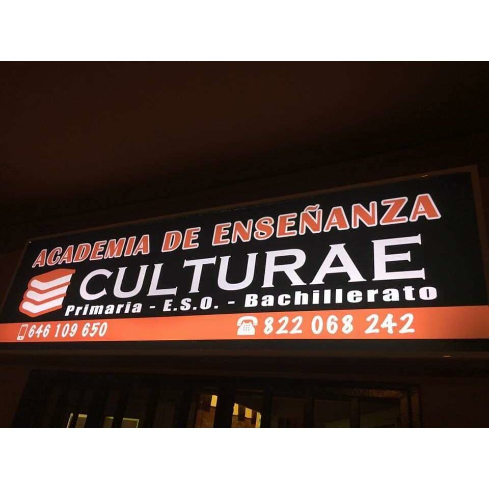 Özel okul Academia de Enseñanza Culturae, Kanarya Adaları, foto