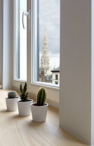Happy Guesthouse (Avenue de l'Hôpital Français No:27, Brussels), otel  Brüksel'den