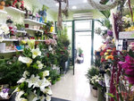 Floristería La Gardenia (Autonomous Community of Andalusia, Málaga, Antequera, Calle Lucena), çiçek teslimatı