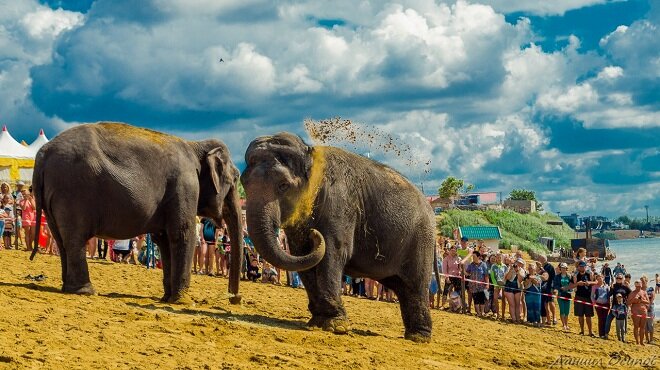 Tıbbi rehabilitasyon merkezleri Treatment and rehabilitation center at Lake Yarovoe, Yarovoye, foto