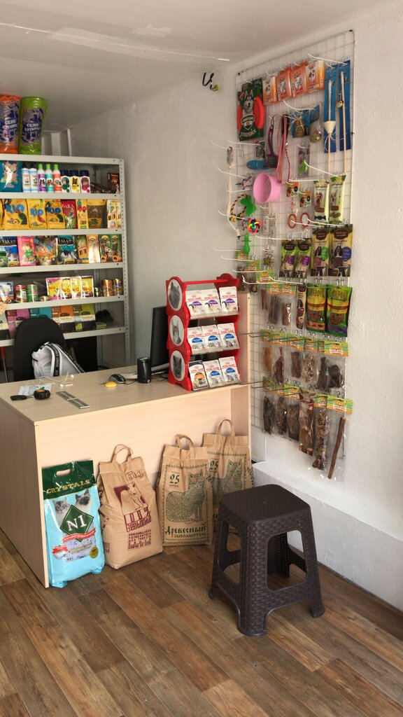 Petshop KotPersei.ru, Soçi, foto