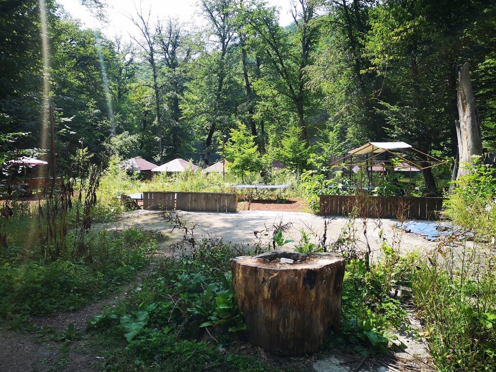 Kafe Cafe, Tavuş, foto