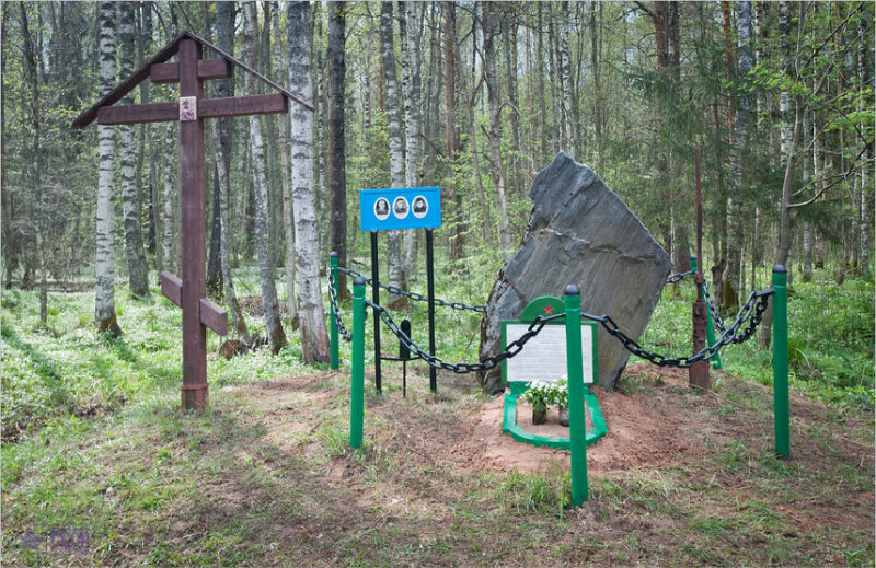 Anıt, heykel Памятный знак на месте гибели бомбардировщика ПЕ-2, Novgorodskaya oblastı, foto