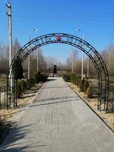 Братская могила (Lipetsk Region, Yeletskiy rayon, Fedorovskiy selsovet, derevnya Baranovka), anıt, heykel  Lipetskaya oblastından