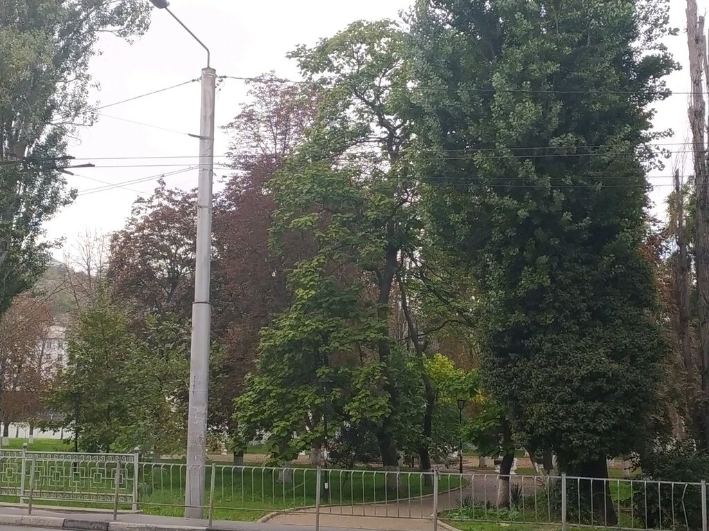 Kültür ve eğlence parkları сквер у Автовокзала, Sevastopol, foto