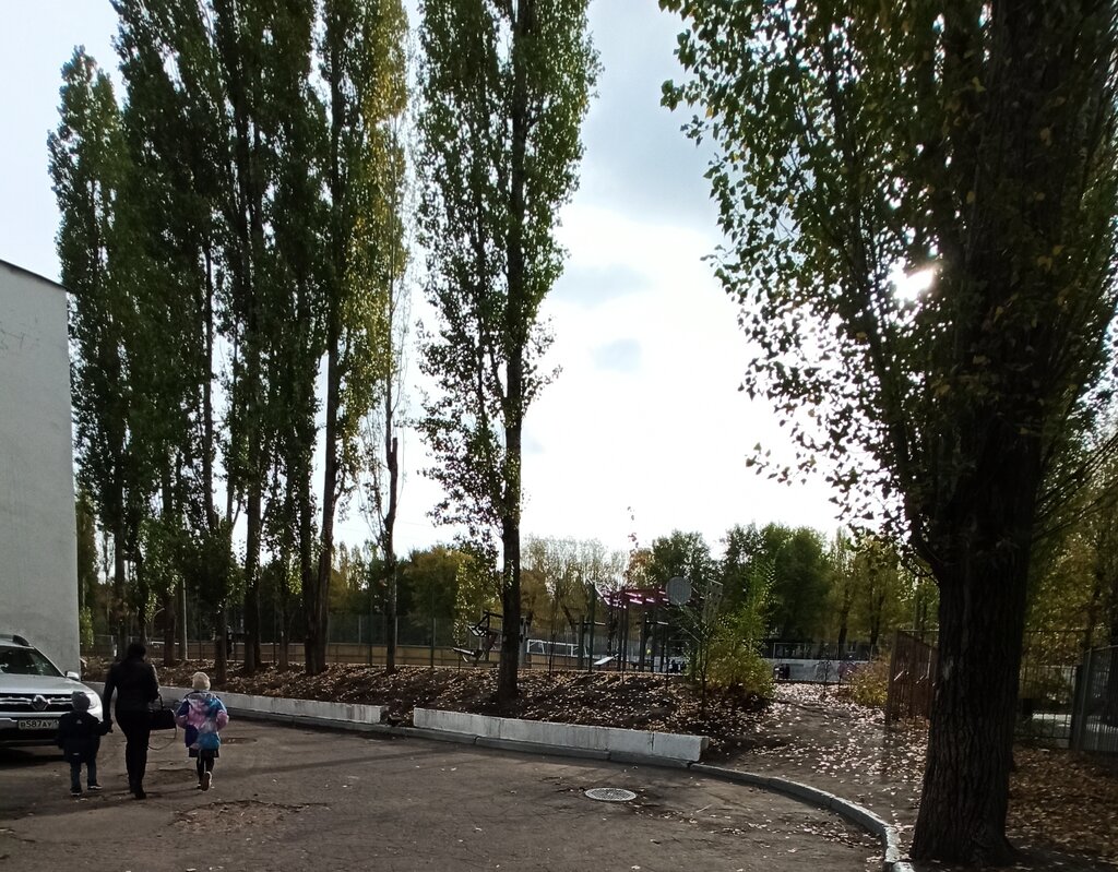 Buz pateni pistleri Ice rink, Voronej, foto