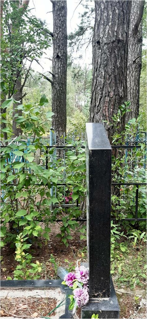 Anıt, heykel Братская могила летчиков Бондаренко и Кухаренко, Brianskaya oblastı, foto