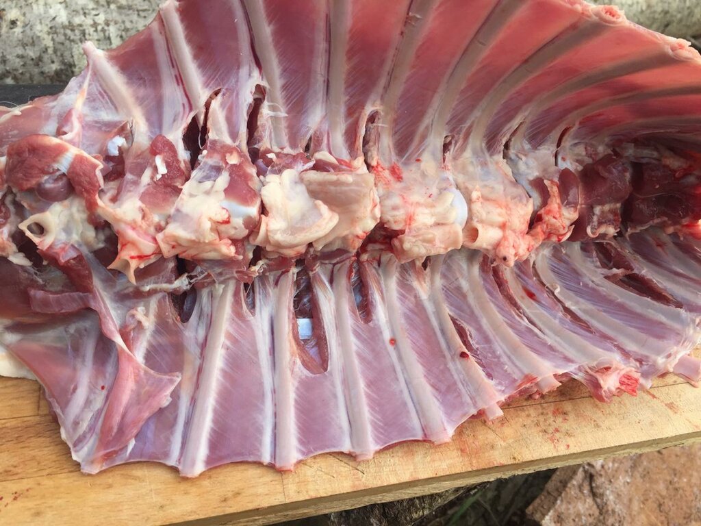 Hayvancılık Sderevni, Saint‑Petersburg ve Leningradskaya oblastı, foto