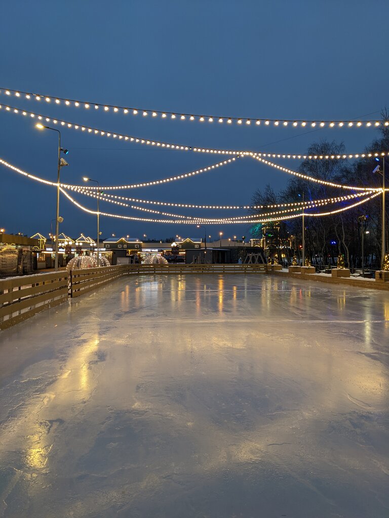 Buz pateni pistleri Ice Rink, Moskova ve Moskovskaya oblastı, foto