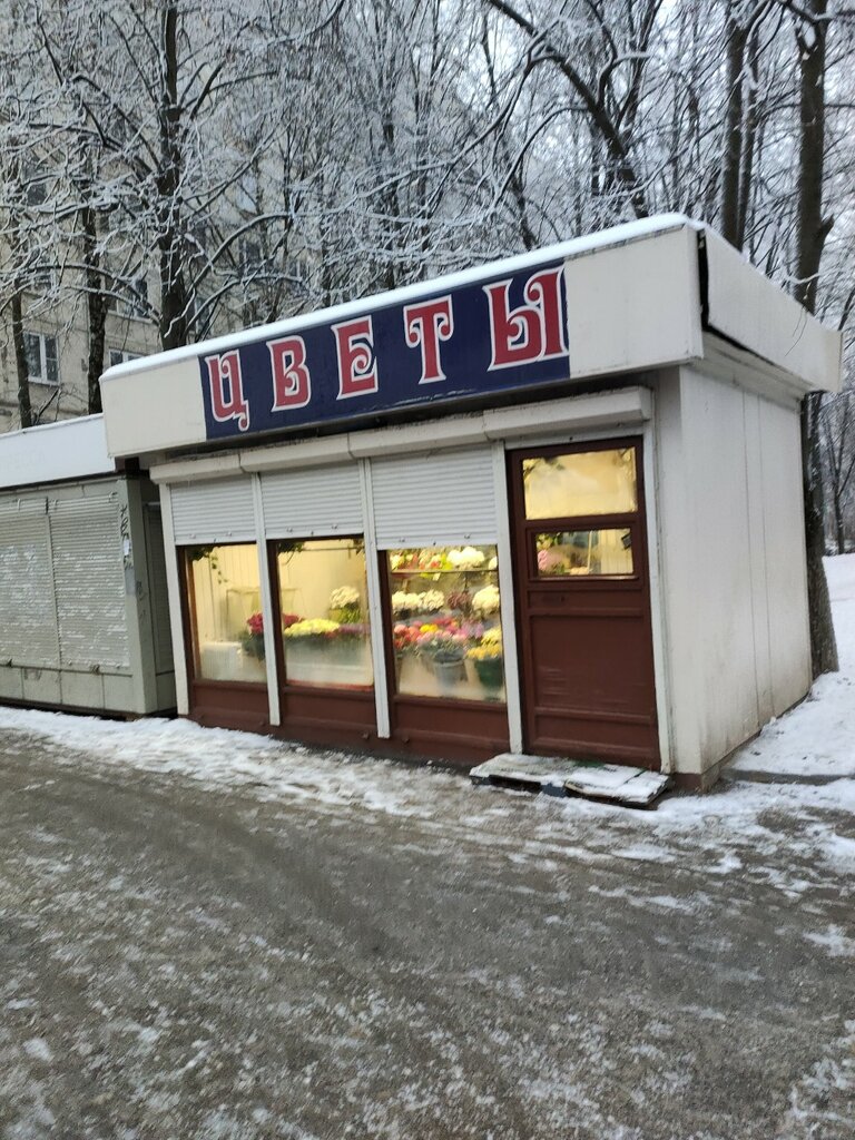 Çiçekçiler Цветы, Moskova ve Moskovskaya oblastı, foto