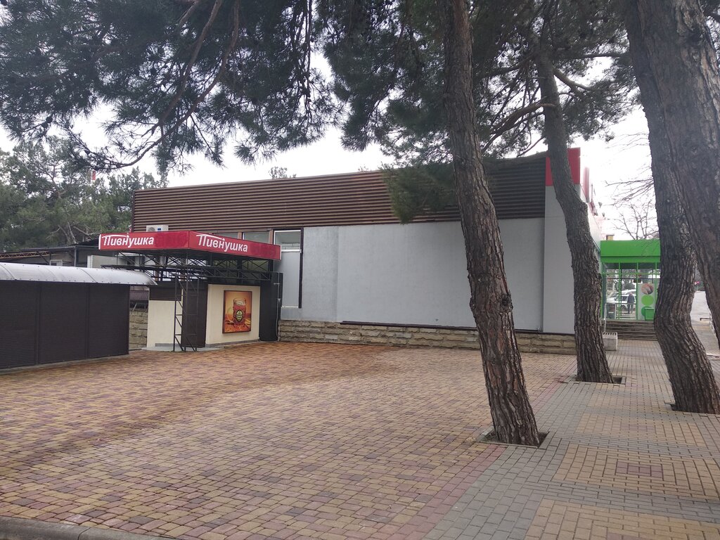 Bira dükkanı Пивнушка, Gelencik, foto