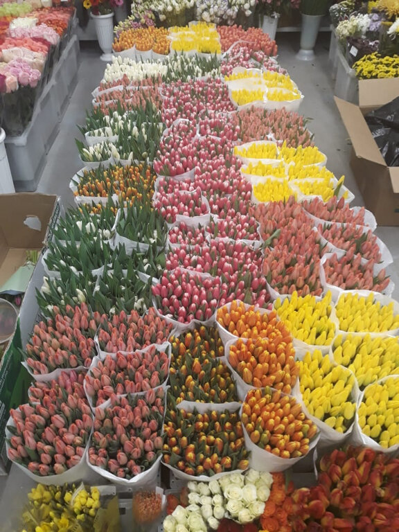 Çiçekçiler Цветочный Рай, Moskova, foto