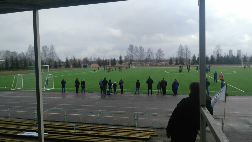 Stadyum Восток, Smolenskaya oblastı, foto