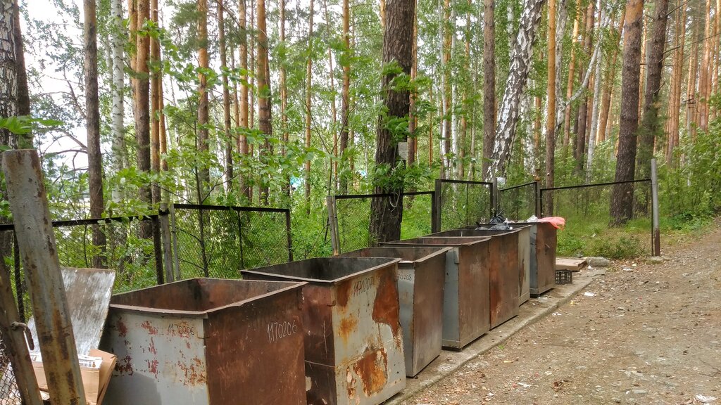 Çöp alanları Trash and garbage disposal area, Çeliabinskaya oblastı, foto