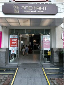 Elephant (Gorkogo Street No:53, Tsentralniy Microdistrict), cep telefonu aksesuarları  Soçi'den