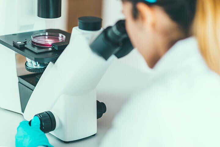 Tıbbi laboratuvarlar Laboratorio Clínico Médico Empresarial, Jalisco Eyaleti, foto