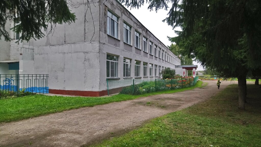 Ortaokul Munitsipalnoye kazennoye obshcheobrazovatelnoye uchrezhdeniye Baltinskaya srednyaya obshcheobrazovatelnaya shkola Moshkovskogo rayona, Novosibirskaya oblastı, foto