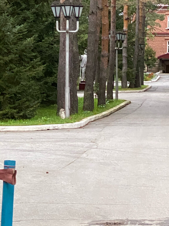 Anıt, heykel В.И. Ленин, Primoriye, foto