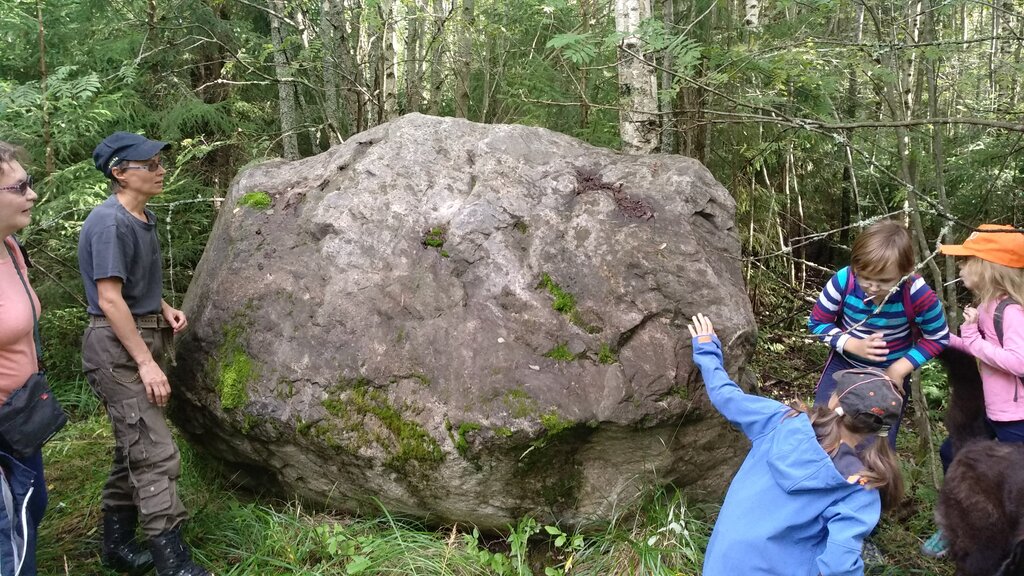 Dağ zirvesi Kivisyurya, Saint‑Petersburg ve Leningradskaya oblastı, foto