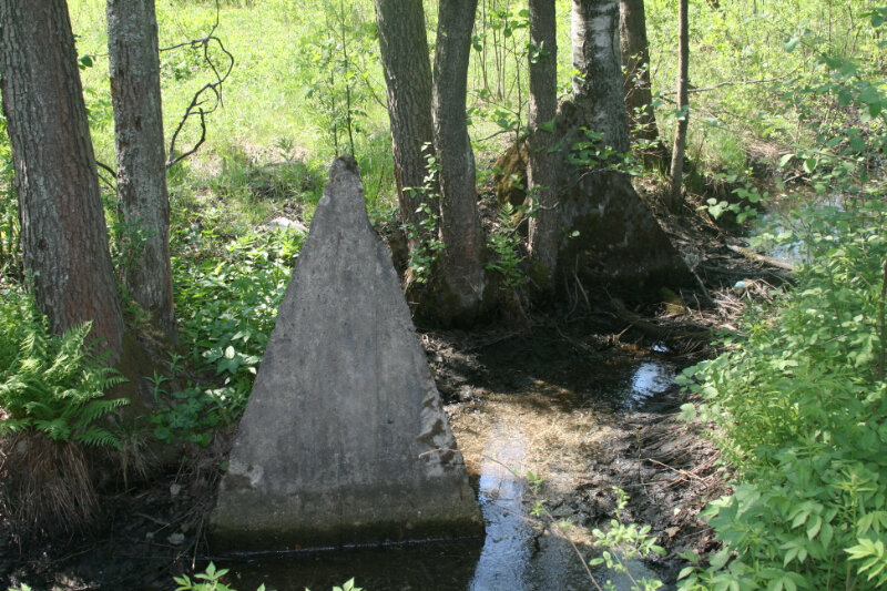 Unutulmaz olayların yeri Противотанковые надолбы, Saint‑Petersburg ve Leningradskaya oblastı, foto