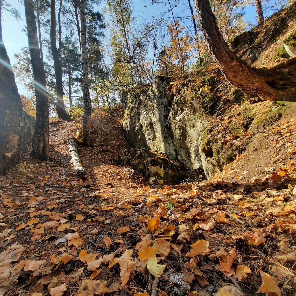 Doğa Пещеры на Змеиной горке, Ulyanovskaya oblastı, foto