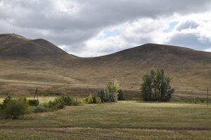 Гора Базар-Бикет (Orenburg Region, Dombarovskiy rayon, Ashchebutakskiy selsovet), dağ zirvesi  Orenburgskaya oblastından