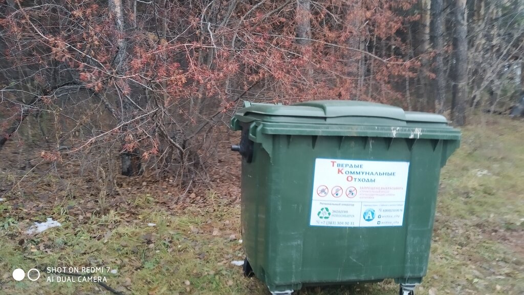 Çöp alanları Trash and garbage disposal area, Novosibirsk, foto