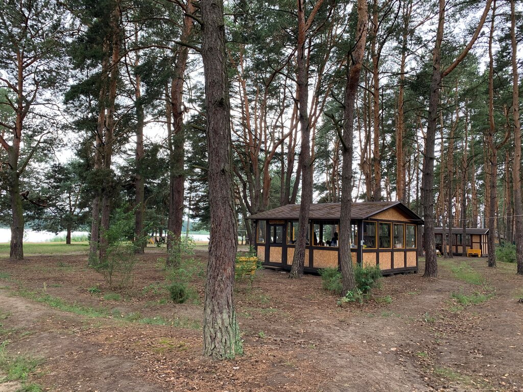 Doğa Shebrinsky zaliŭ, Brestskaya oblastı, foto