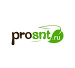 ProSnt.ru (Mosina Street No:1), bilişim firmaları  Sestroretsk'ten