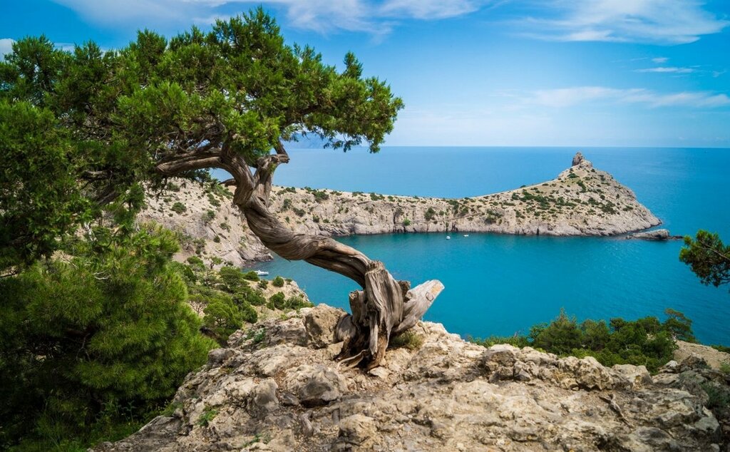 Alkollü içecekler Vinomir, Sudak, foto