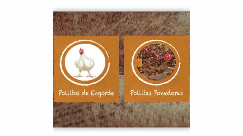 Restoran Productos Toledano, S A, Dünya, foto