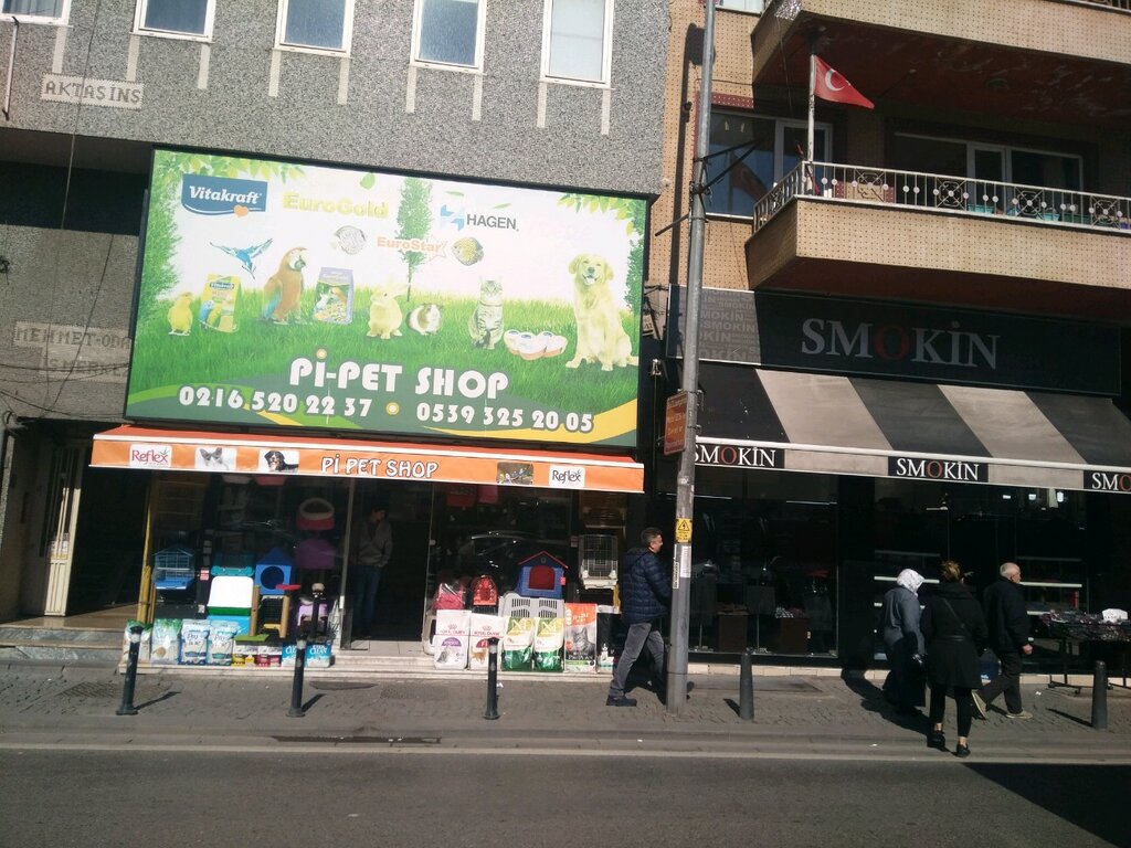 Petshop Pi-Pet Shop Akvaryum, İstanbul, foto