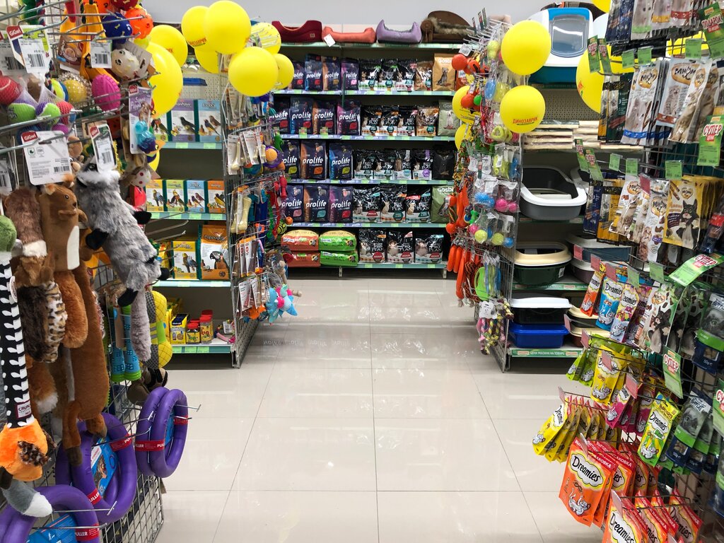 Petshop Dinozavrik, Moskova, foto